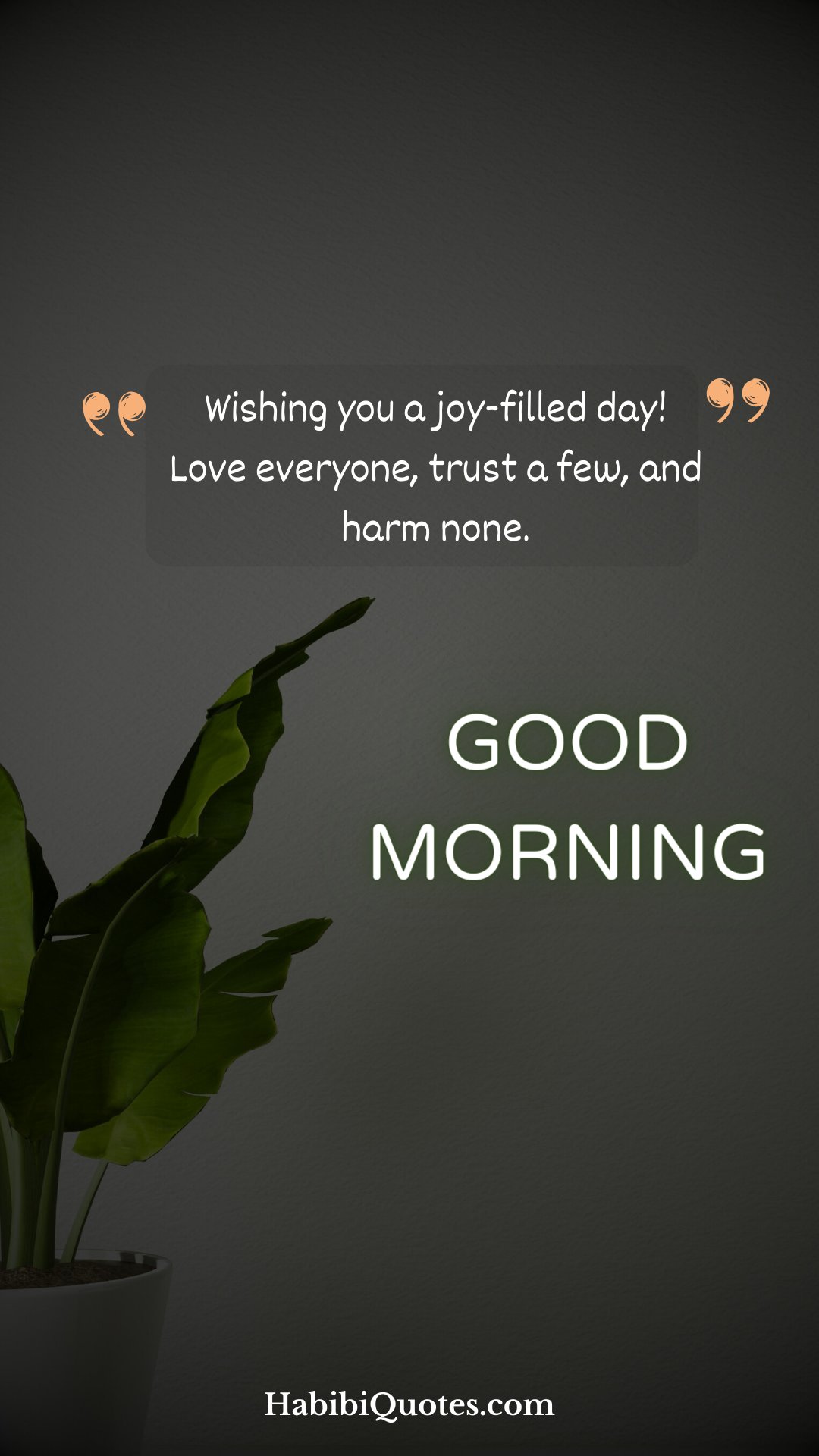 100+ Amazing Good Morning Messages