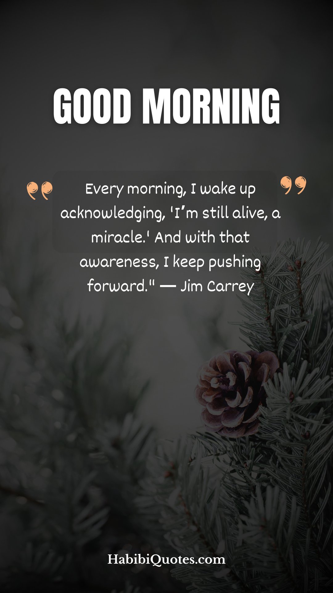 250 Unique Morning Captions For Instagram