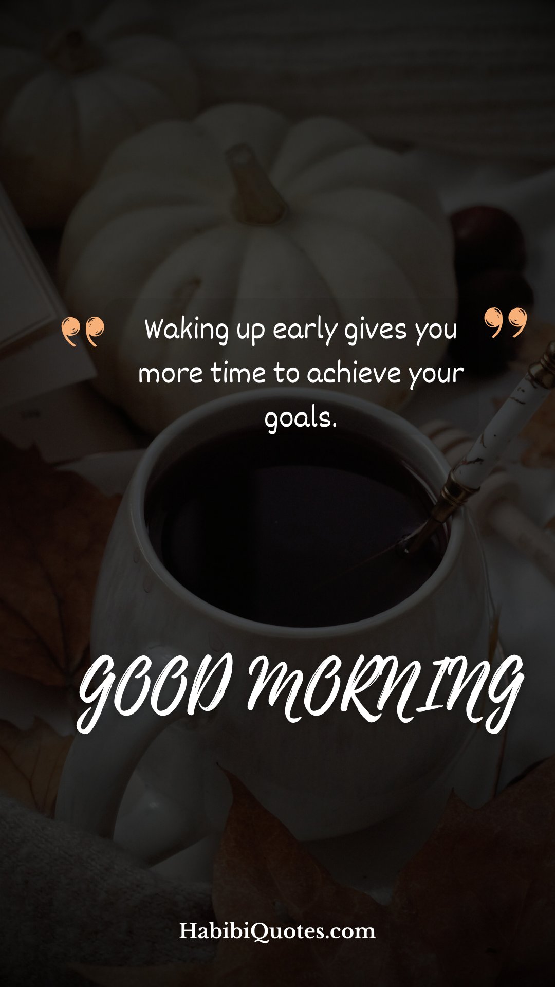 250 Unique Morning Captions For Instagram