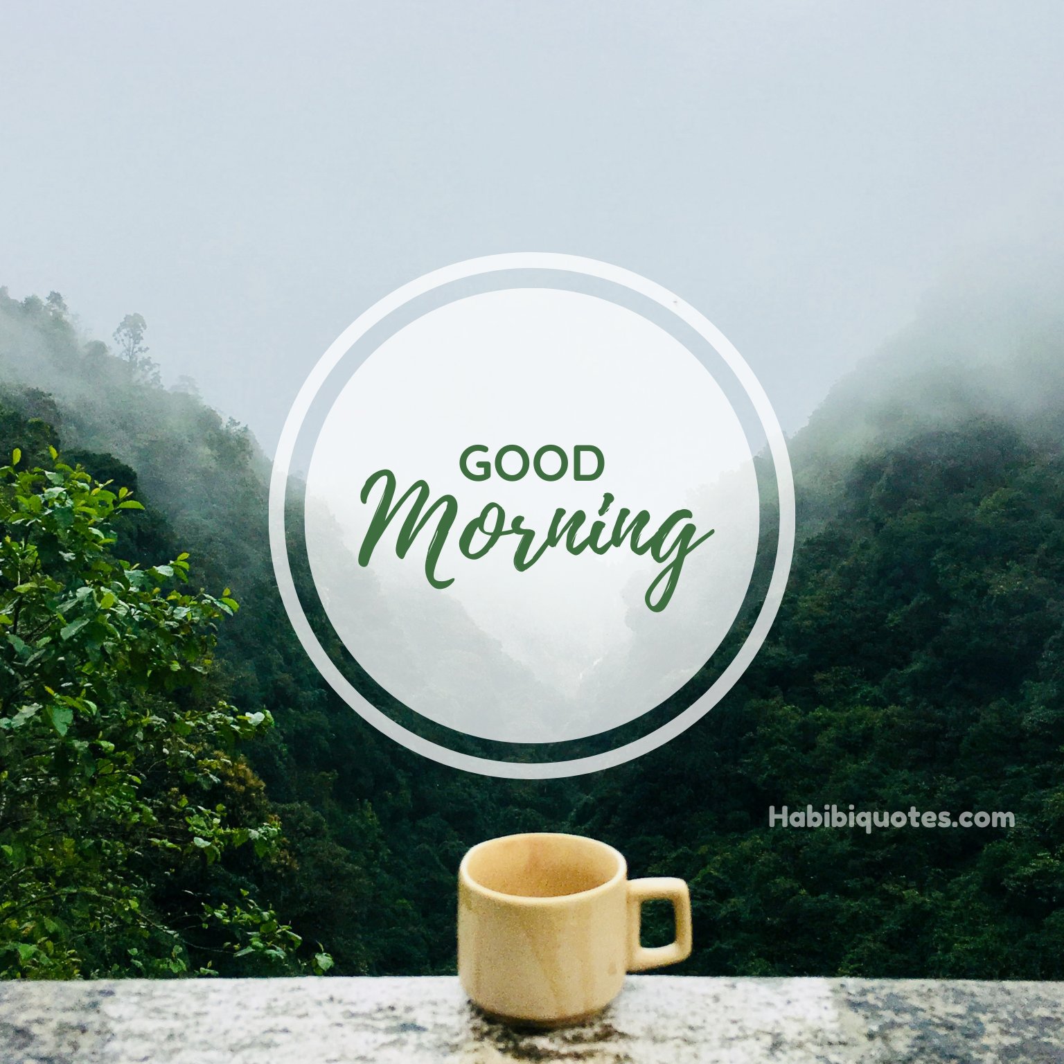 200+ New Good Morning Images, Photos, Pics 2024