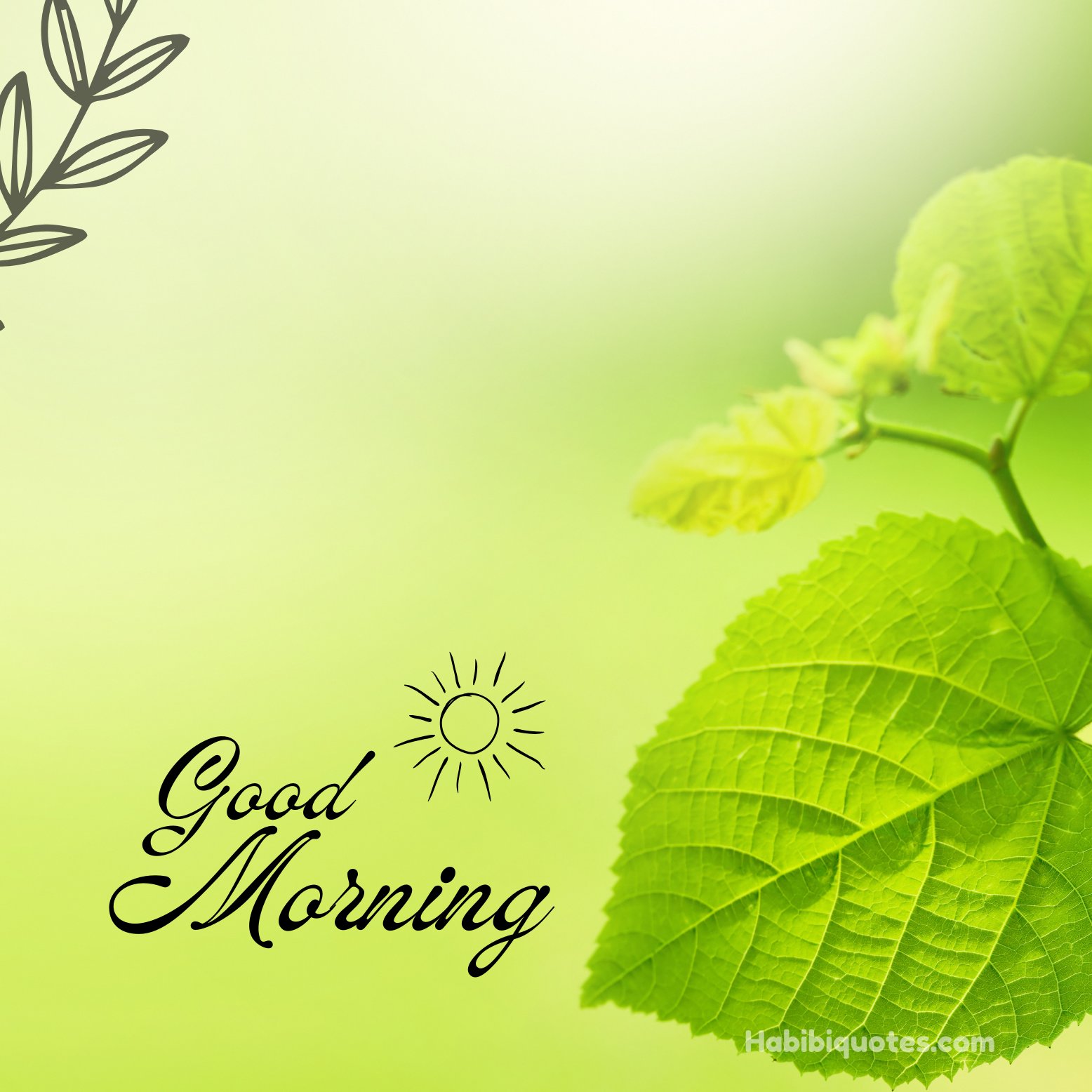 200+ New Good Morning Images, Photos, Pics 2024