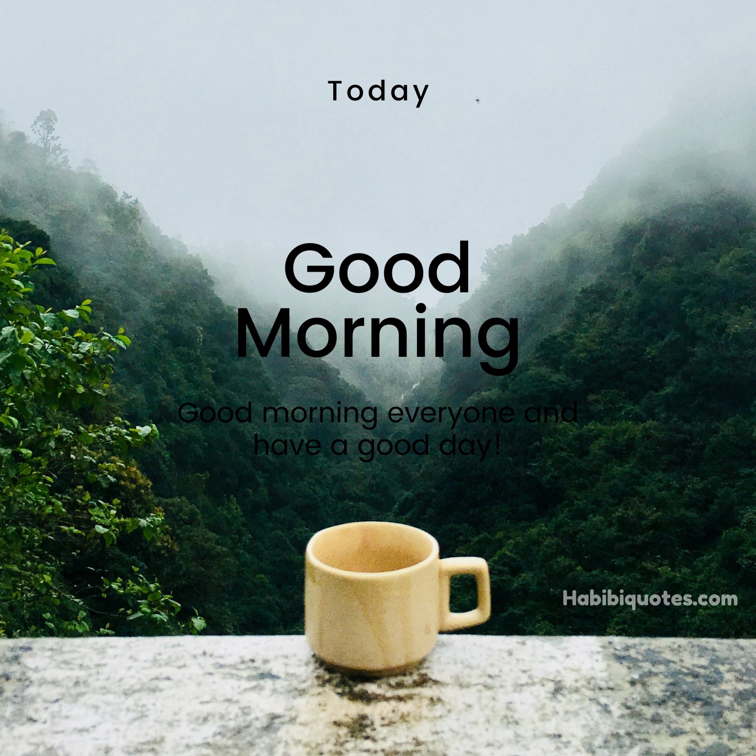 200+ New Good Morning Images, Photos, Pics 2024