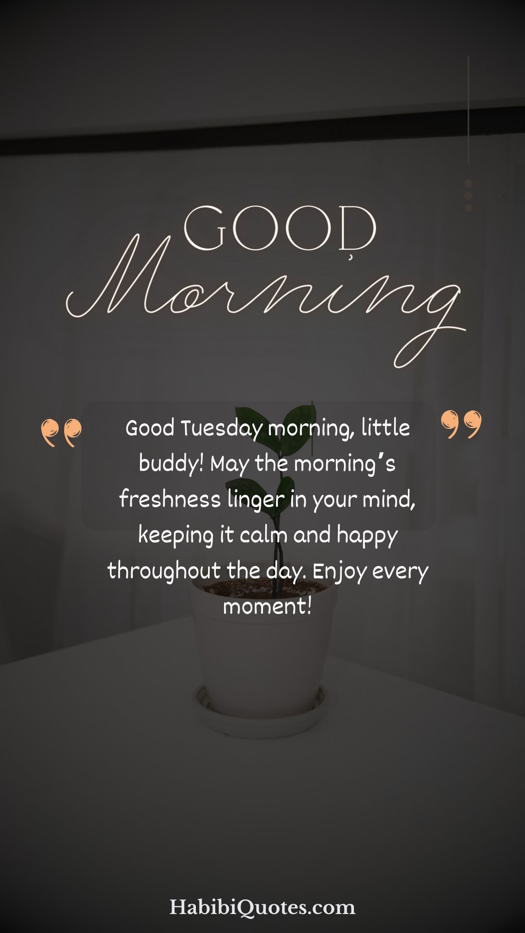 Good morning Tuesday blessings and prayers